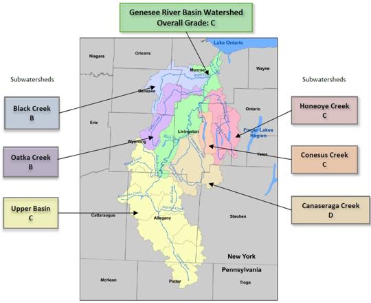 Report: Genesee River, tributaries, receive mixed water quality grades ...