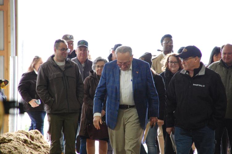 Schumer urges Congress to keep Dairy Margin Coverage program | News ...