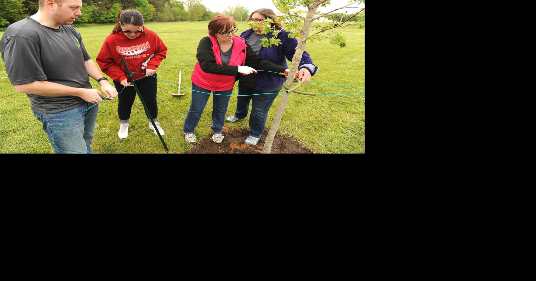Complete Payroll plants 25 trees for 25 years in business | Local News ...