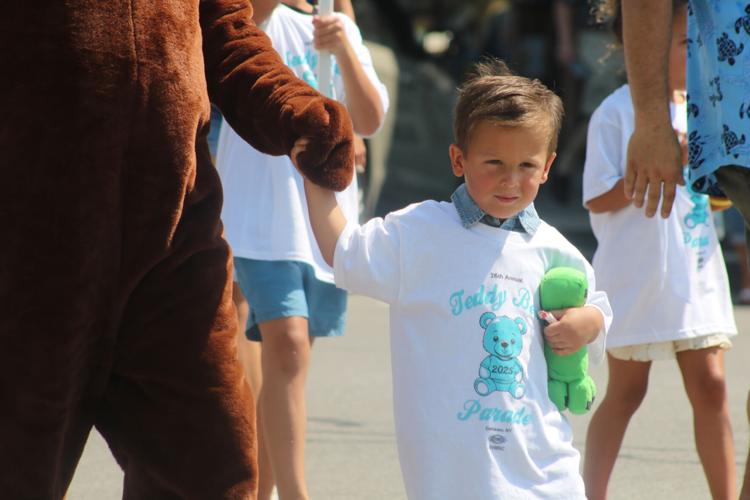 PHOTO GALLERY: Teddy bears march on as Geneseo festival braves the heat ...