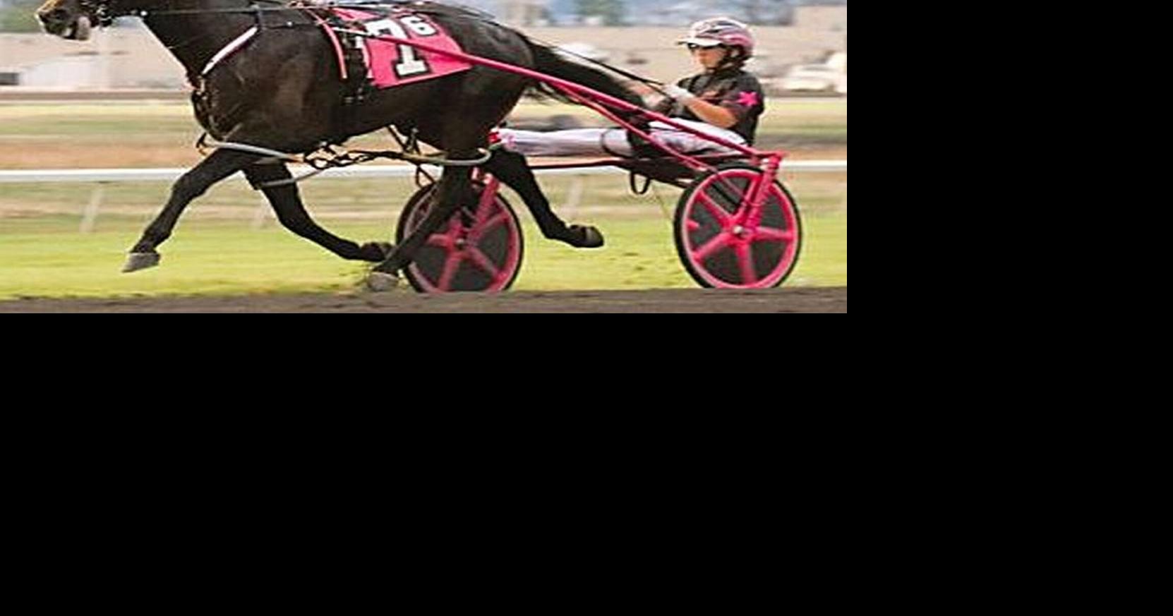 NYSS glamour division at Batavia Downs on Tuesday for $119,800 | Sports ...