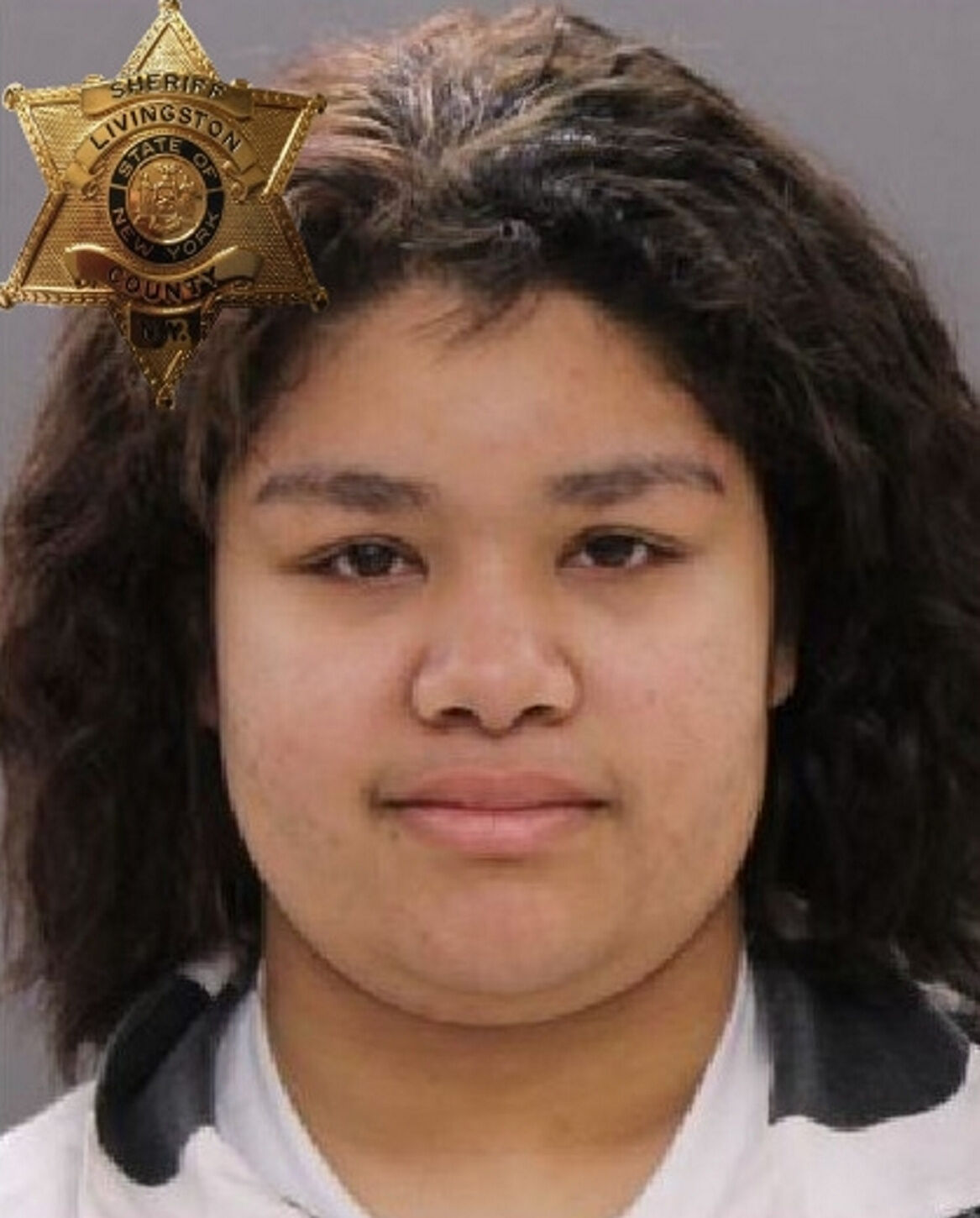 Livingston County Jail inmate charged after injuring two deputies ...