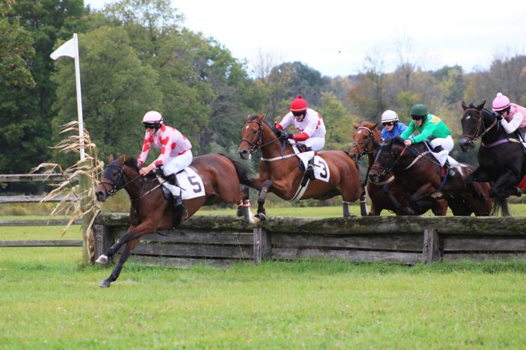 Horses, hounds and more return Saturday with Genesee Valley Hunt Races ...