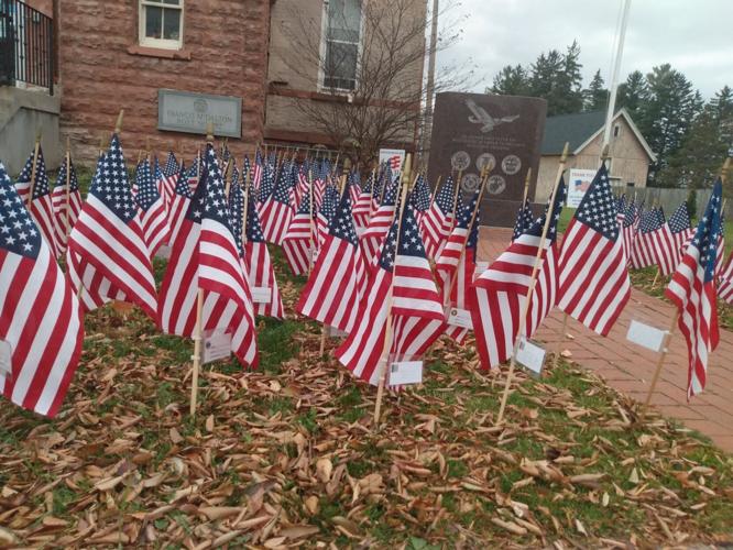 Lima DAR flag display honors local veterans | Local News | thelcn.com