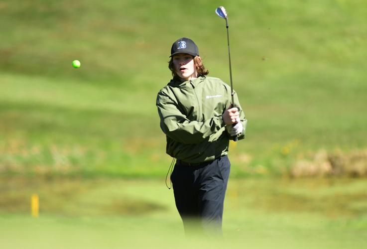 H.S. GOLF: Coyle, Bagley share medalist honors as Livonia downs Batavia ...