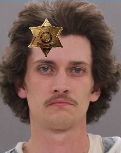 Livonia man charged with felony DWI | News | thelcn.com