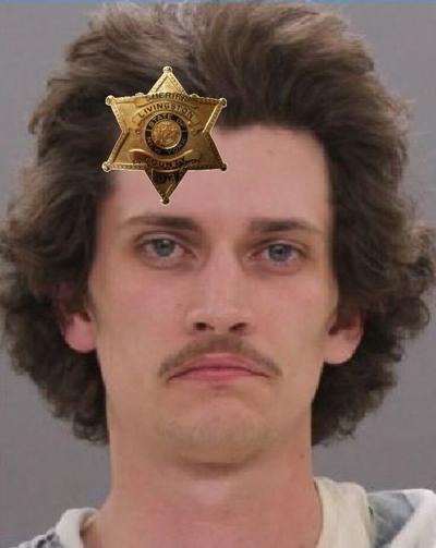 Livonia man charged with felony DWI | News | thelcn.com