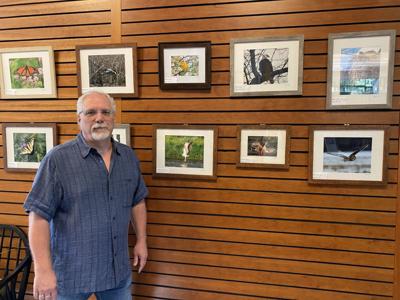 Bird photography on display at Mendon library | Entertainment | thelcn.com