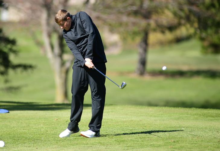 H.S. GOLF: Coyle, Bagley share medalist honors as Livonia downs Batavia ...