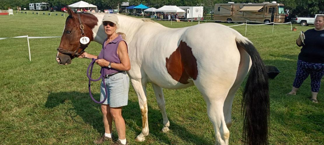 WATCH: Genesee Valley Riding and Driving Club horse trials | News ...
