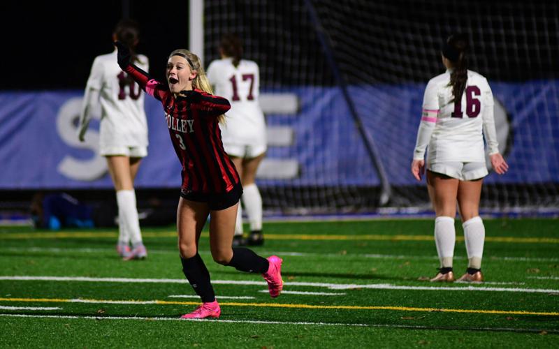 NYS SOCCER: Byron-Bergen/Elba boys, Holley and Bath-Haverling girls all ...