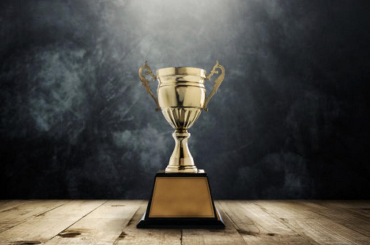 FALL SPORTS AWARDS 2022: Introducing the fan vote | Sports | thelcn.com