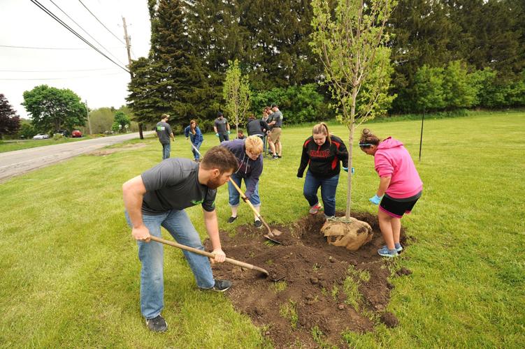 Complete Payroll plants 25 trees for 25 years in business | Local News ...
