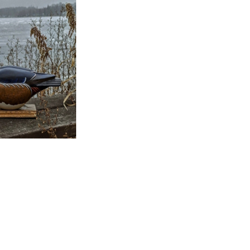 ACWC exhibit features hand-carved decoys | Lifestyles | thelcn.com