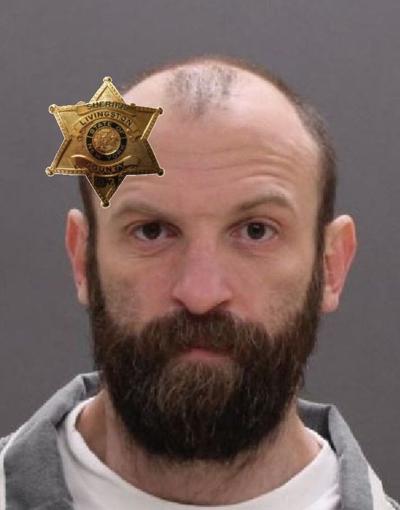 Geneseo man charged in vandalism spree | News | thelcn.com
