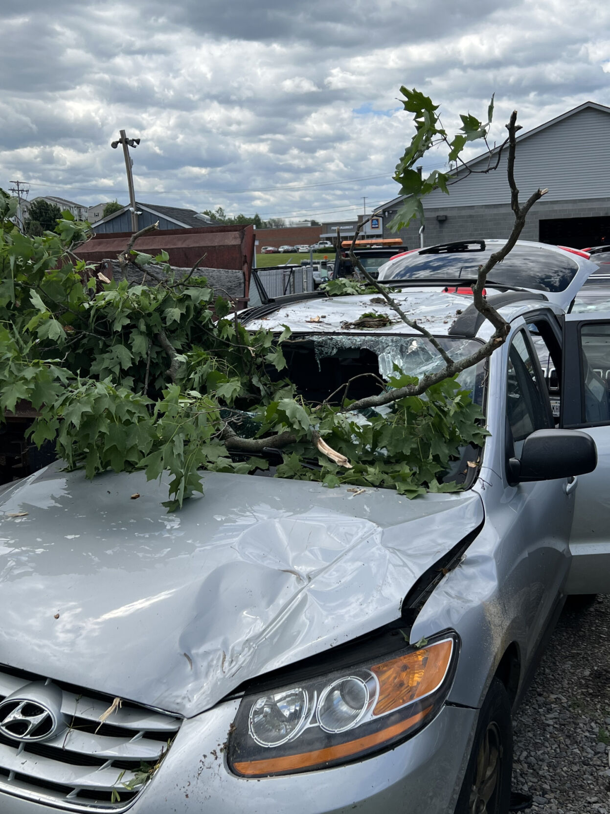 Storm story: Geneseo man recalls harrowing moments as tree crashes into ...