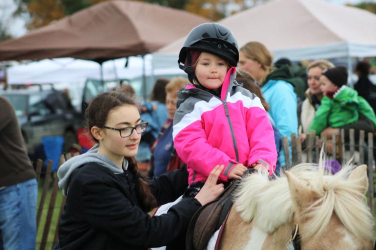 Horses, hounds and more return Saturday with Genesee Valley Hunt Races ...