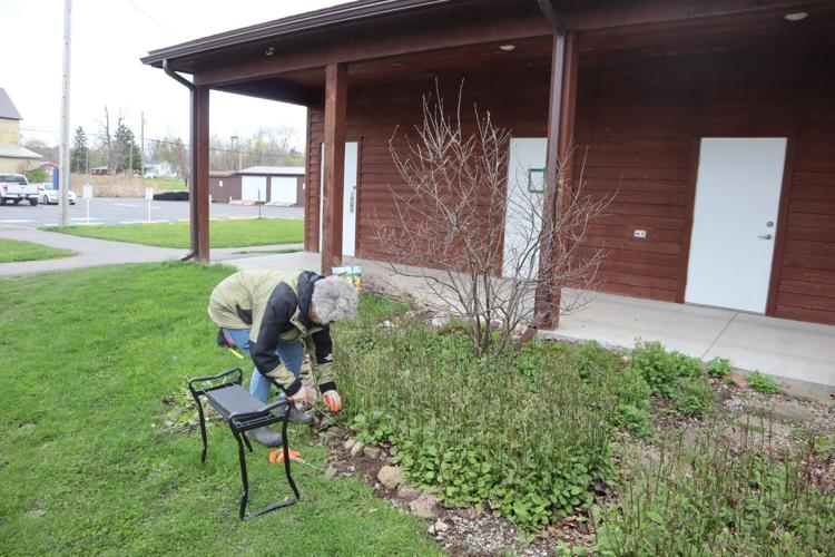 Livingston County Clean Up Event | News | thelcn.com