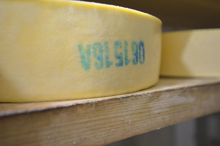 New creamery ready to specialize in fine cheese | News | thelcn.com
