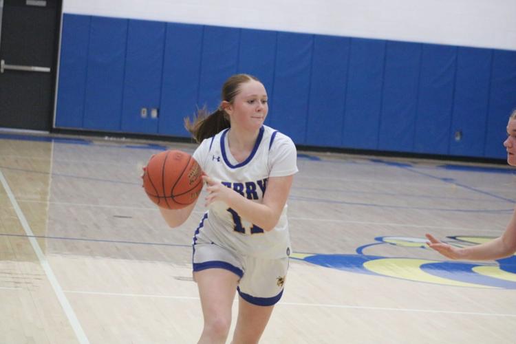 H.S. GIRLS BASKETBALL: Hamsher leads Dansville to big road win against ...