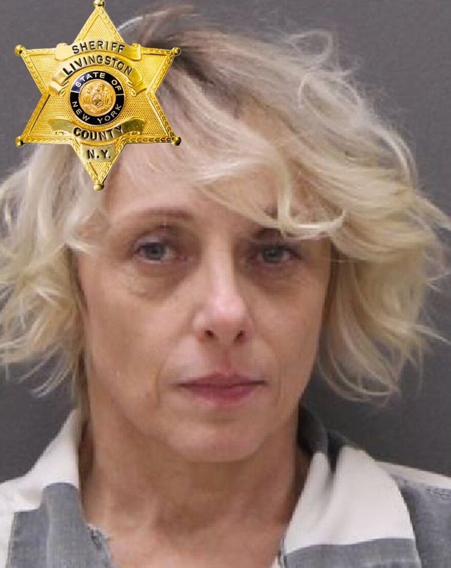 Dansville woman charged with Mount Morris vehicle theft | News | thelcn.com