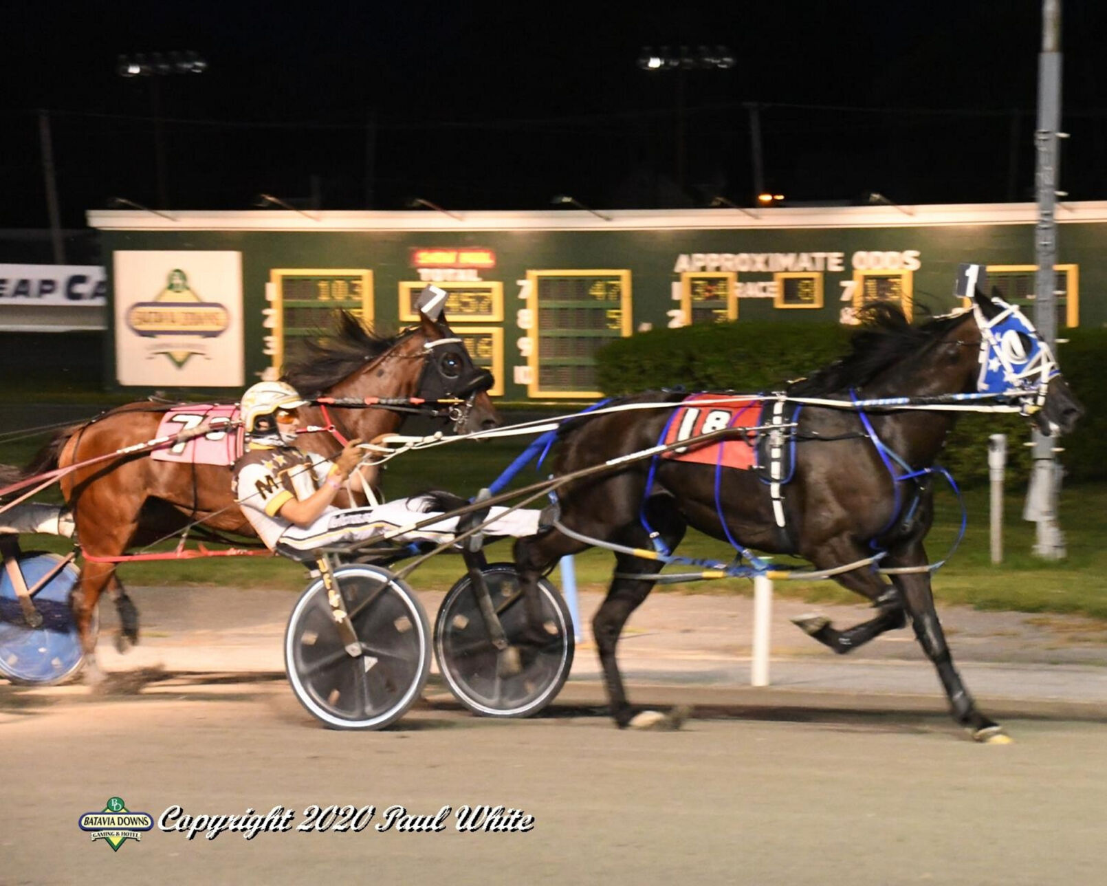 HARNESS: Black is Back takes season’s mark in Batavia Open | Sports ...