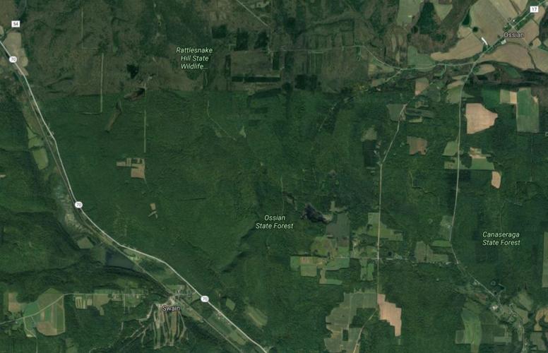 DEC to share Rattlesnake Hill Wildlife Management Area plan | Local ...