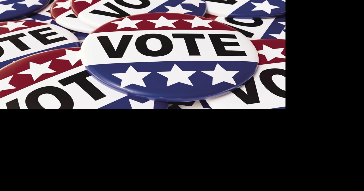 Election 2025: Bacon elected mayor in Mount Morris; new trustees ...