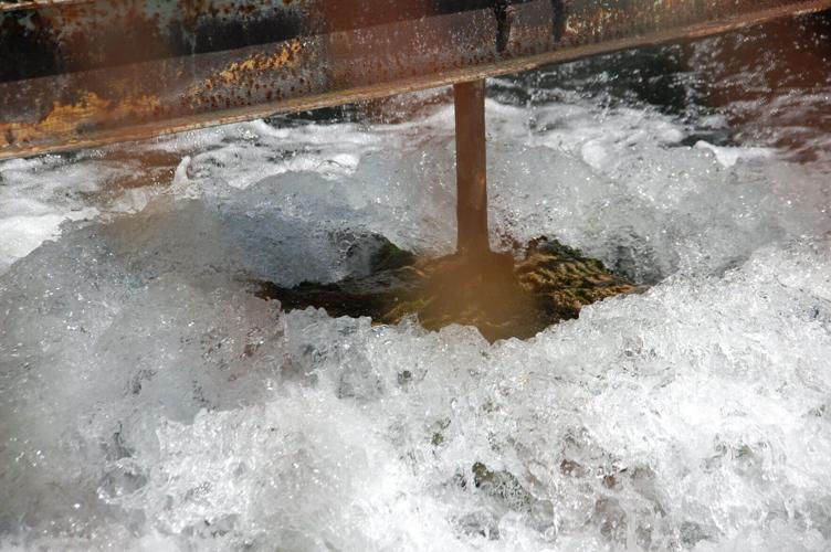 Caledonia Fish Hatchery to see $7.4M in renovations | News | thelcn.com