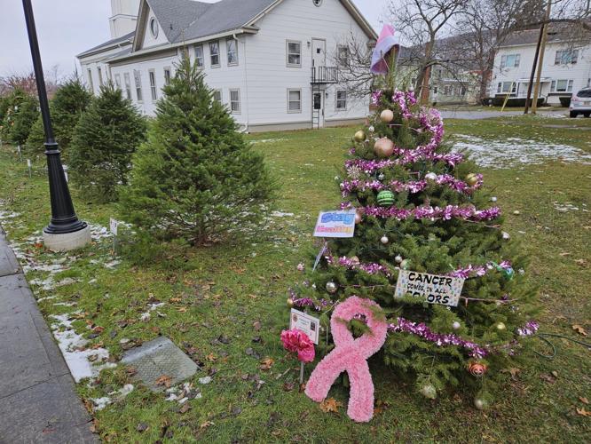 Joy and generosity fill the streets of Dansville for Winter in the ...