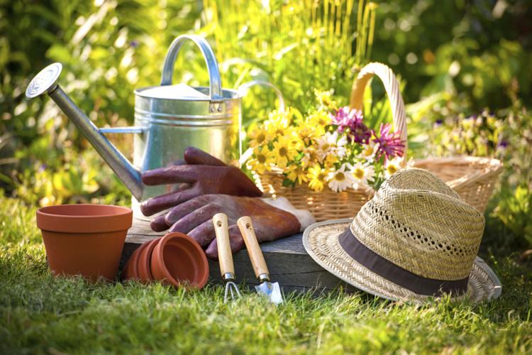 Master Gardener: Enticing gift ideas available for gardeners ...