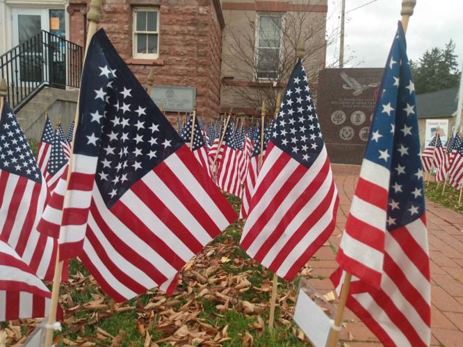 Lima DAR flag display honors local veterans | Local News | thelcn.com