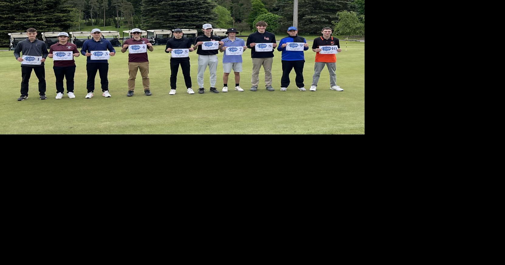 H.S. GOLF: Livonia's Coyle earns medalist honors at LCAA County ...