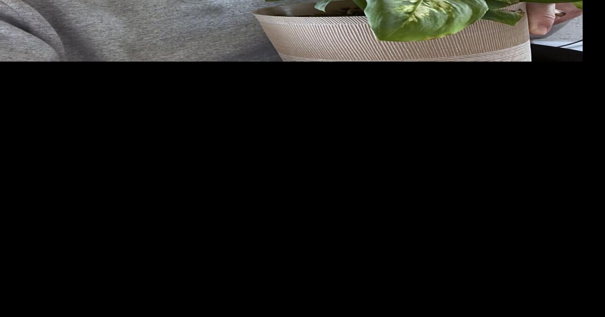 Jerry Zezima: Stairway to houseplant heaven | Lifestyles | thelcn.com