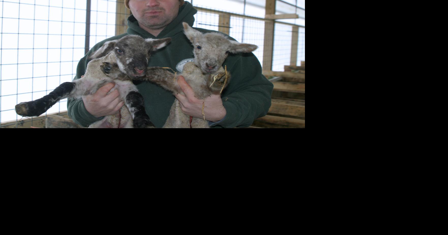 Kyle Farms earns Next Generation recognition | Local News | thelcn.com