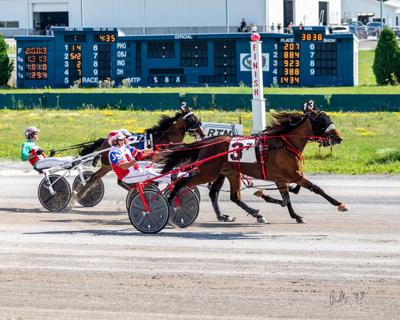 Buffalo Raceway completes successful 2023 meet | Sports | thelcn.com