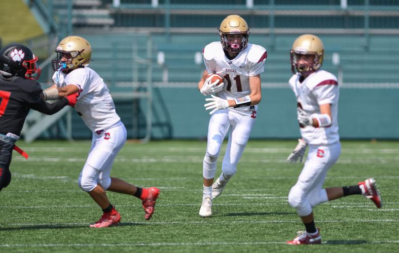 Dansville/Way-Co football merge has been a huge hit as DWC hosts ...