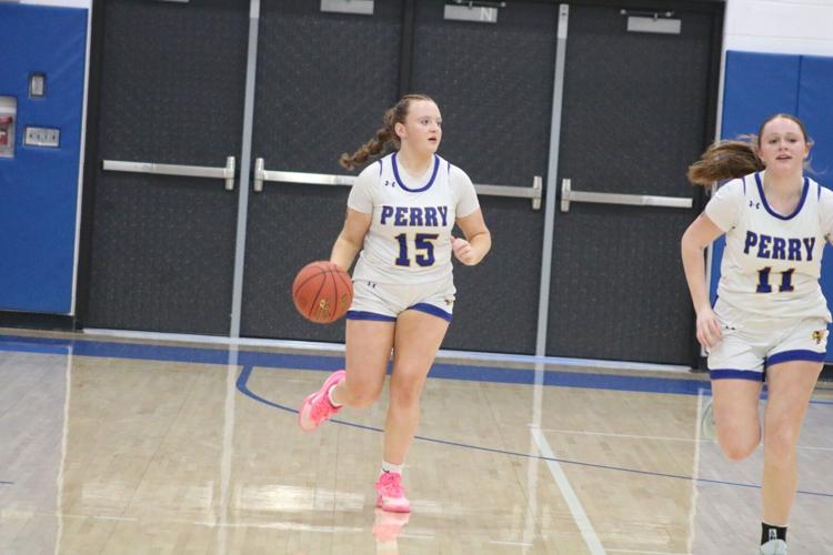 H.S. GIRLS BASKETBALL: Hamsher leads Dansville to big road win against ...