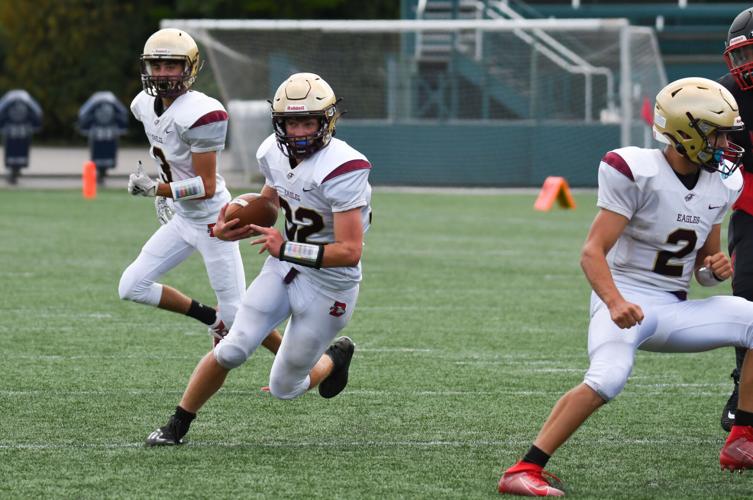 Dansville/Way-Co football merge has been a huge hit as DWC hosts ...