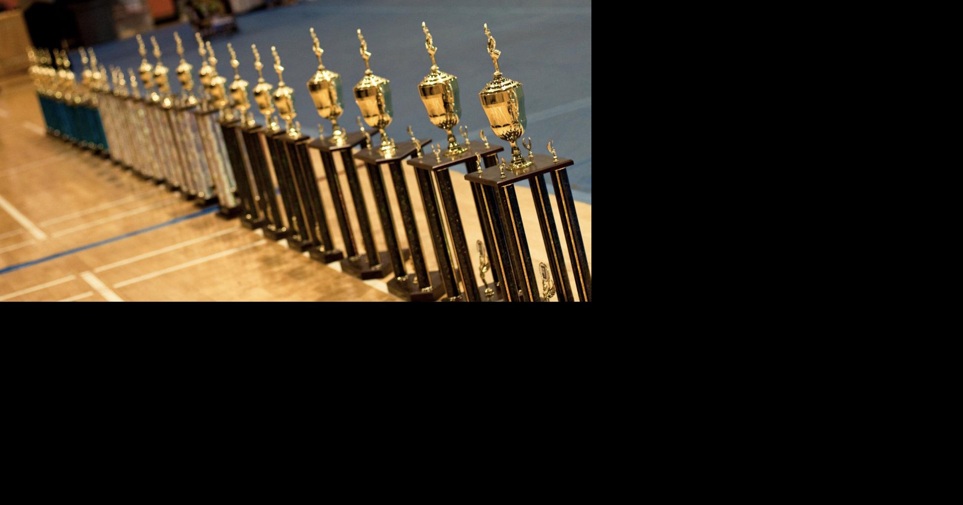 WINTER SPORTS AWARDS: Here are the categories | Sports | thelcn.com