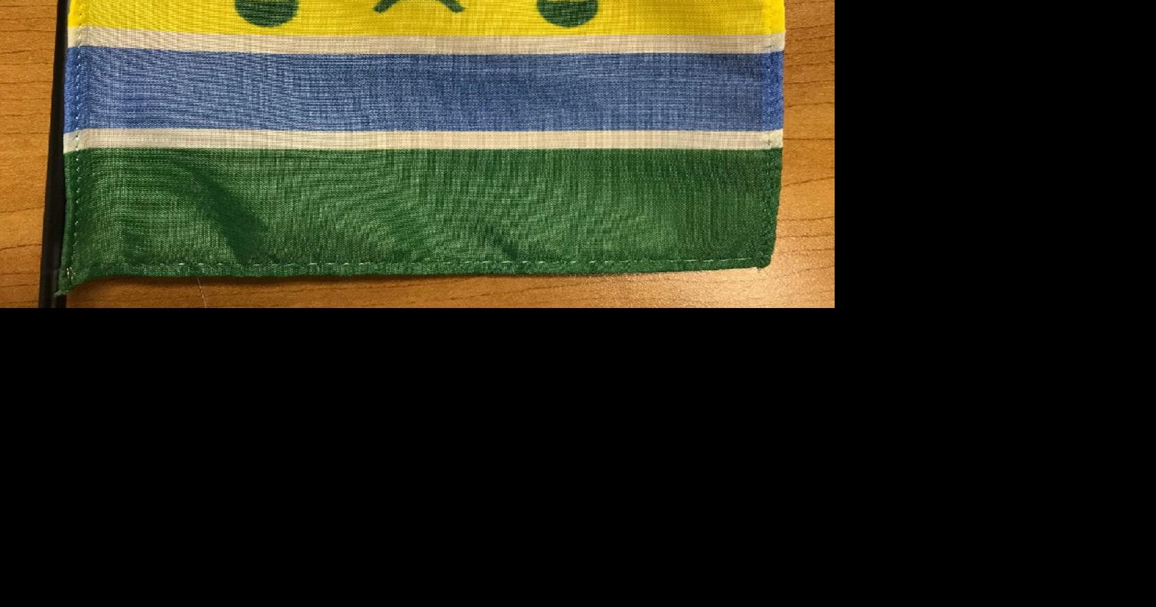 Historic Geneseo: Livingston County adopts an official flag ...