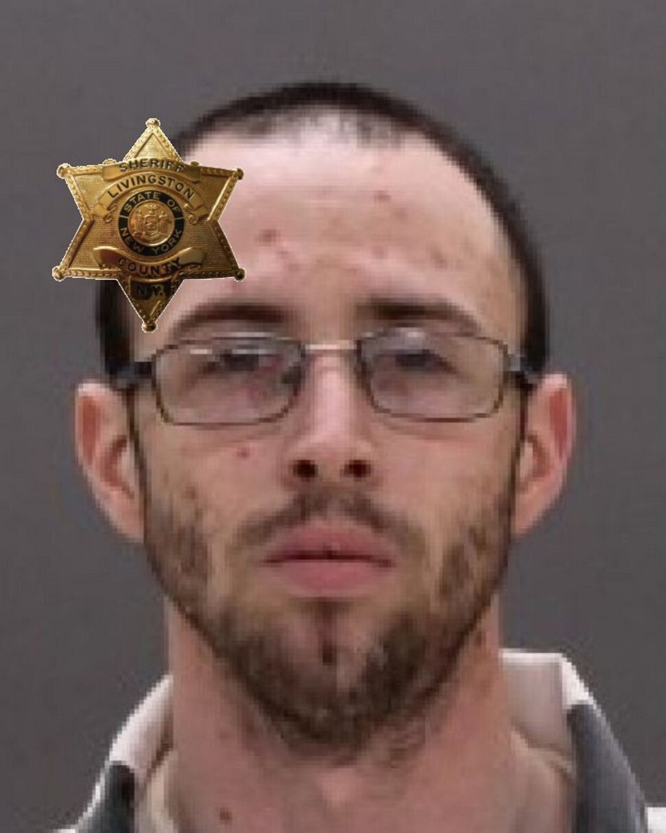 Palmyra man charged with gun possession | Police | thelcn.com