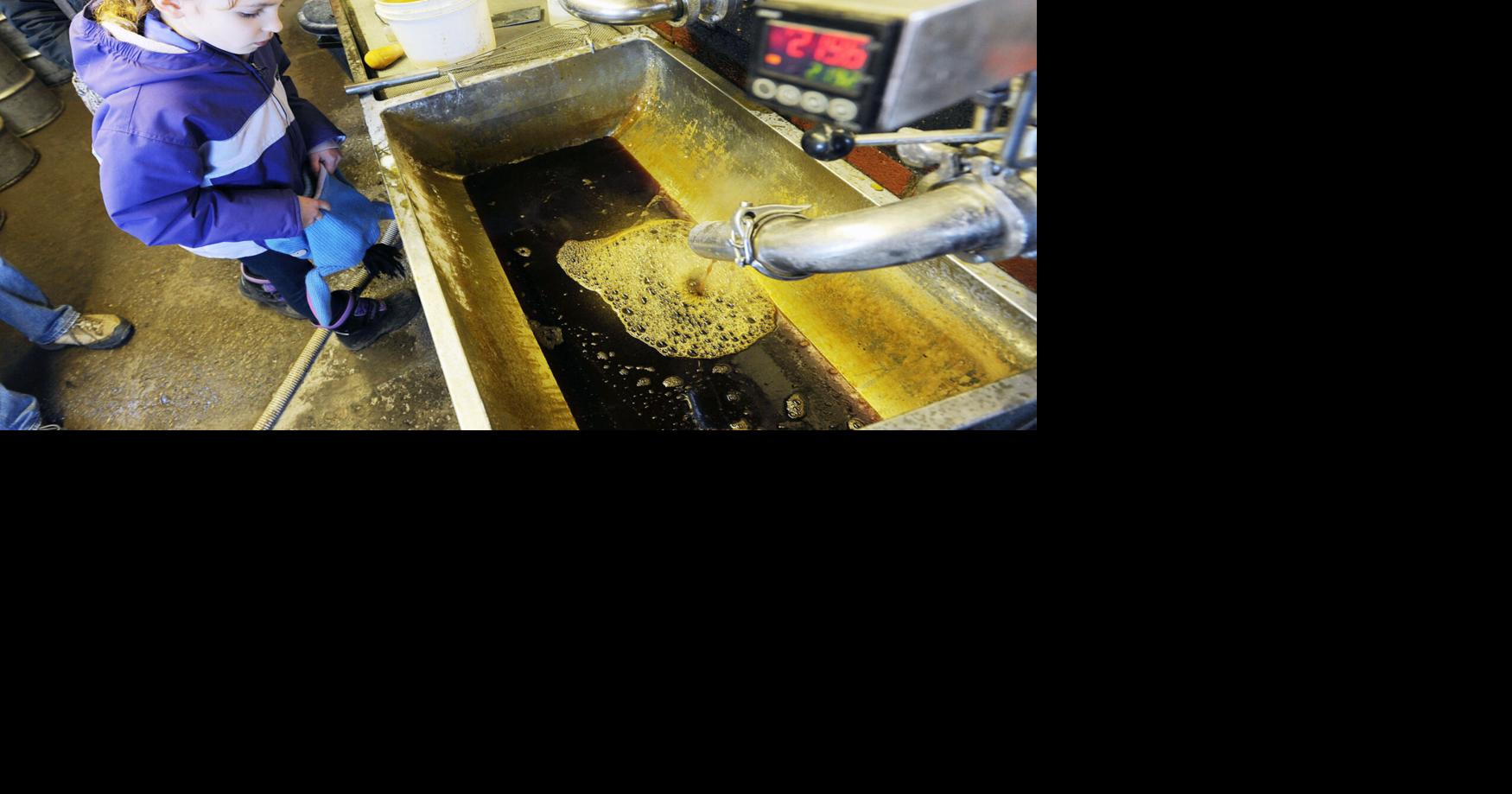 NASS will interview maple producers for annual survey | Local News ...