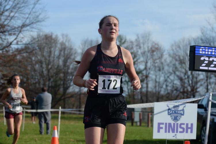 CROSS COUNTRY: Hurlburt, Ball lead Dansville girls to sectional title ...
