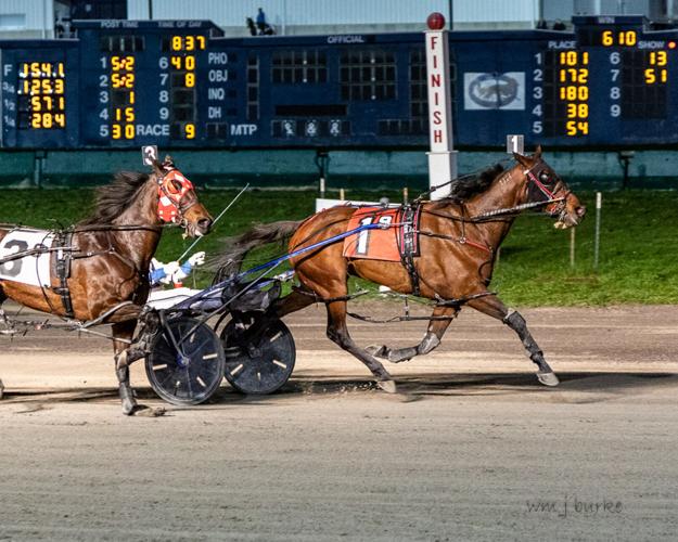 HORSE RACING: Filly Speaks heard loud and clear with big win at Buffalo ...