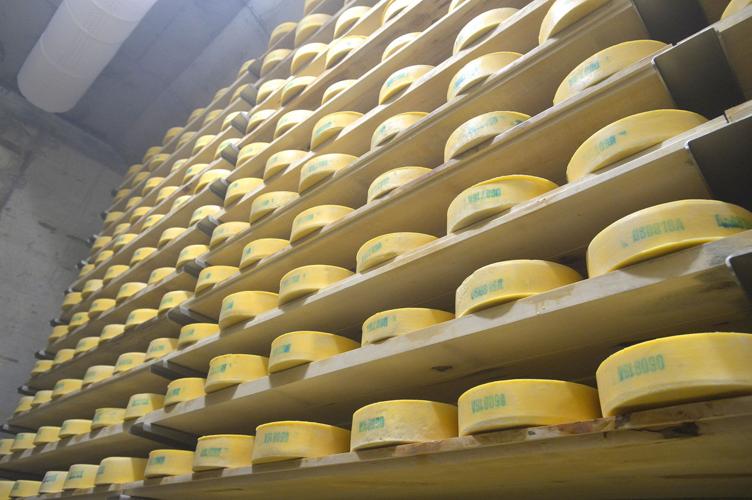 New creamery ready to specialize in fine cheese | News | thelcn.com