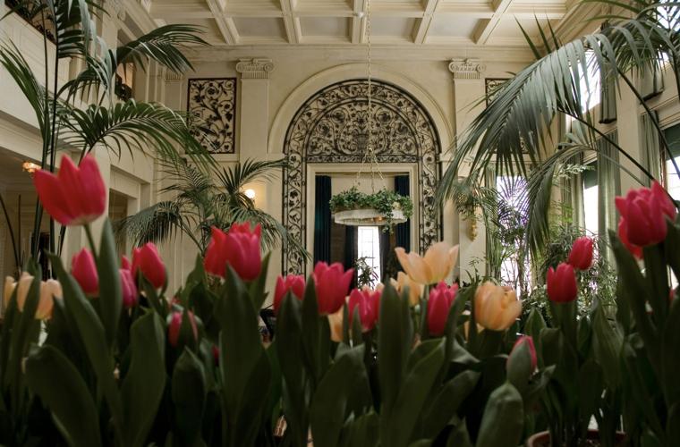 25th annual ‘Dutch Connection’ display opens at George Eastman Museum ...