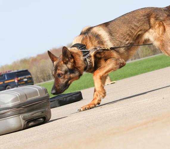 Sheriff’s Deputy, K9 partner now federally certified explosives ...