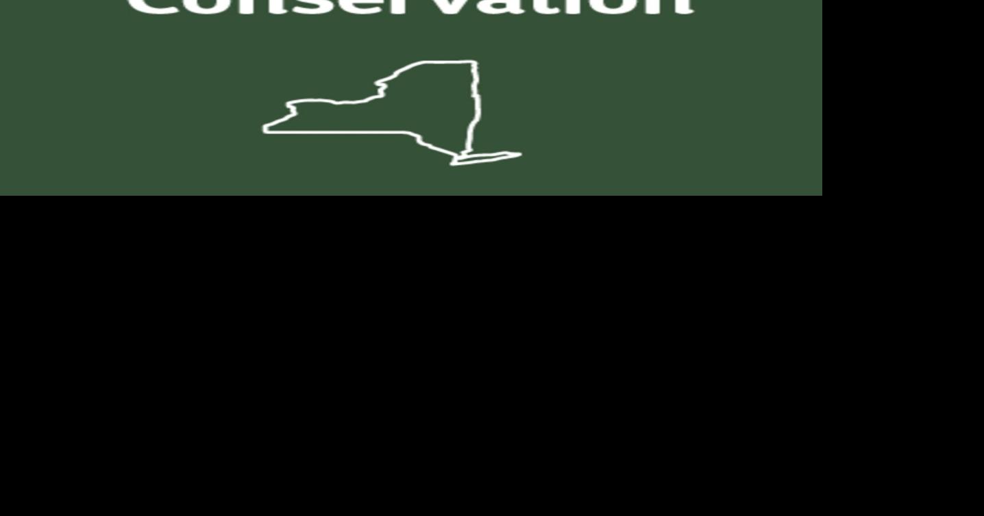 DEC announces $3 million in grants available for invasive species ...