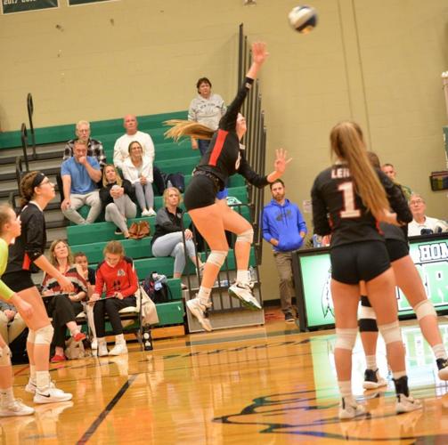Le Roy survives Midlakes, falls to Portville in regional final | Sports ...
